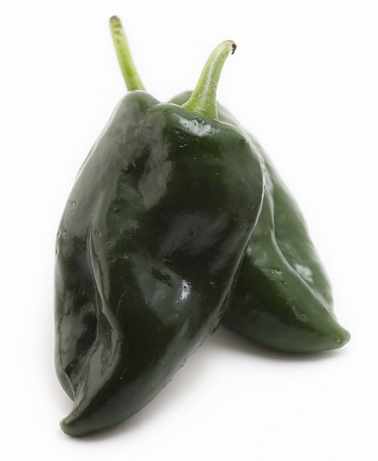 Ancho Pepper Seed – Sweet Corn Organic Nursery