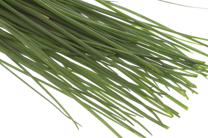 Garlic Chives Heirloom Herb Seed – Sweet Corn Organic Nursery