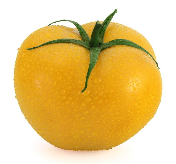 Manyel Heirloom Certified-Organic Tomato – Sweet Corn Organic Nursery
