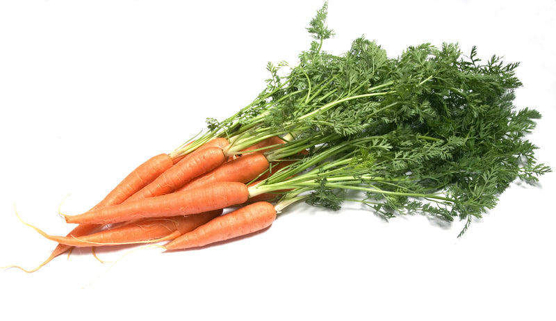 Scarlet Nantes Heirloom Certified-Organic Carrot Seed – Sweet Corn ...