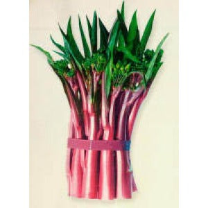 Yu Choy Sum Red Stem Heirloom Lettuce Seed – Sweet Corn Organic Nursery